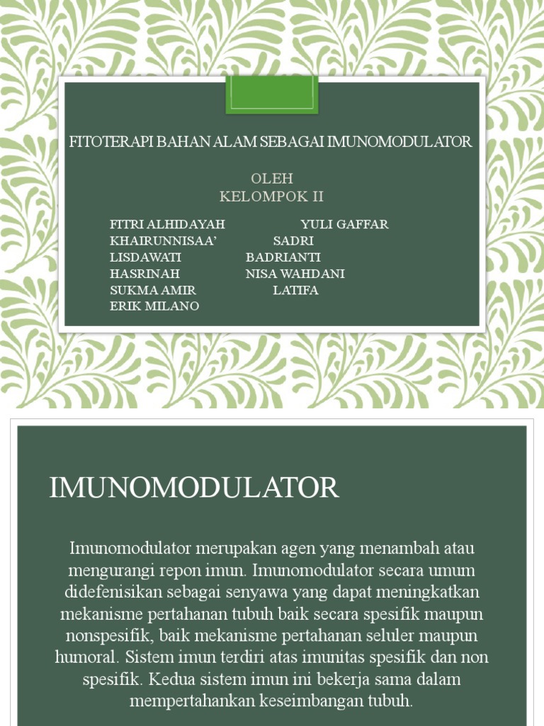 Fitoterapi Bahan Alam Sebagai Imunomodulator | PDF