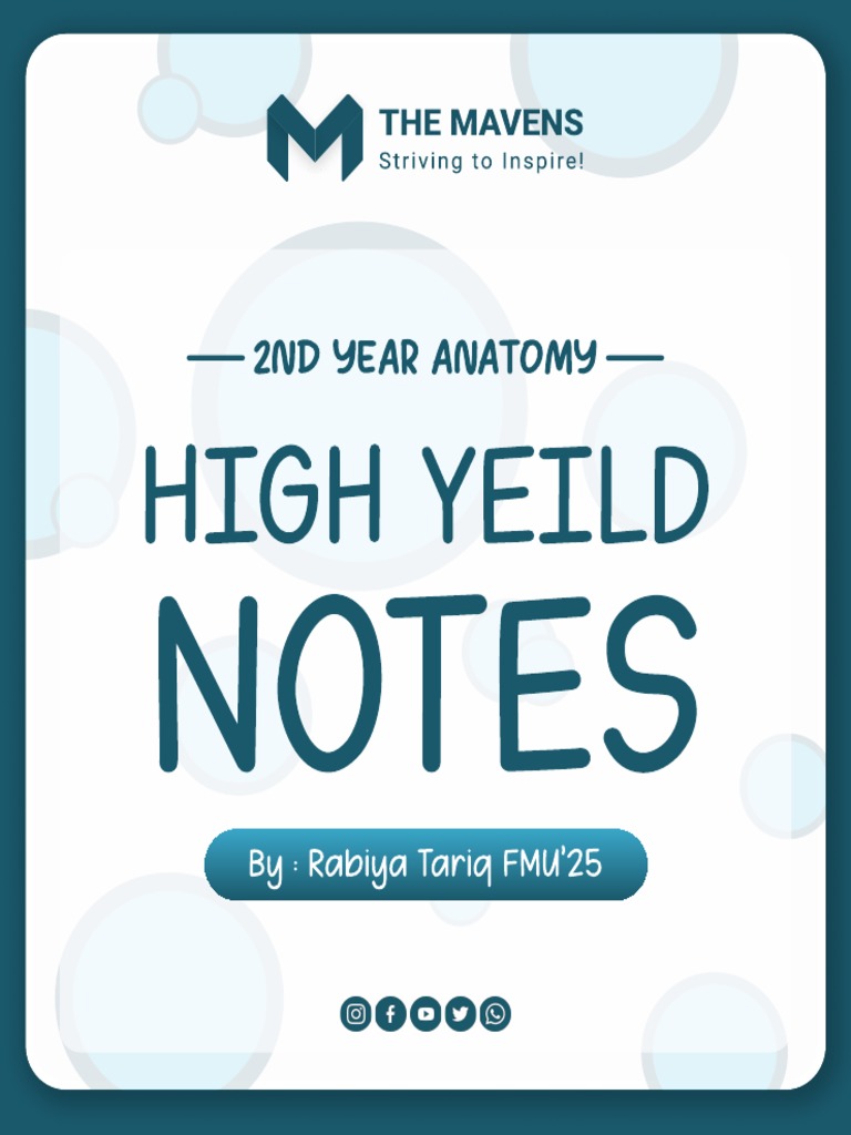 Abdomen Anatomy - High Yield Notes | PDF