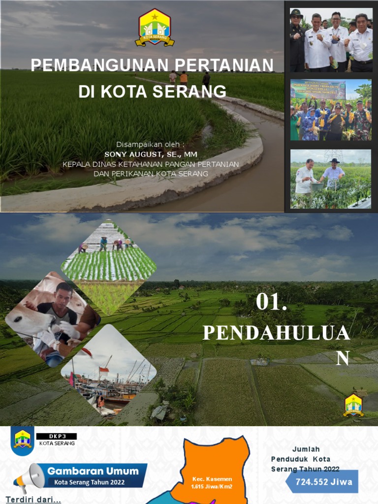 Bahan Paparan BPS | PDF