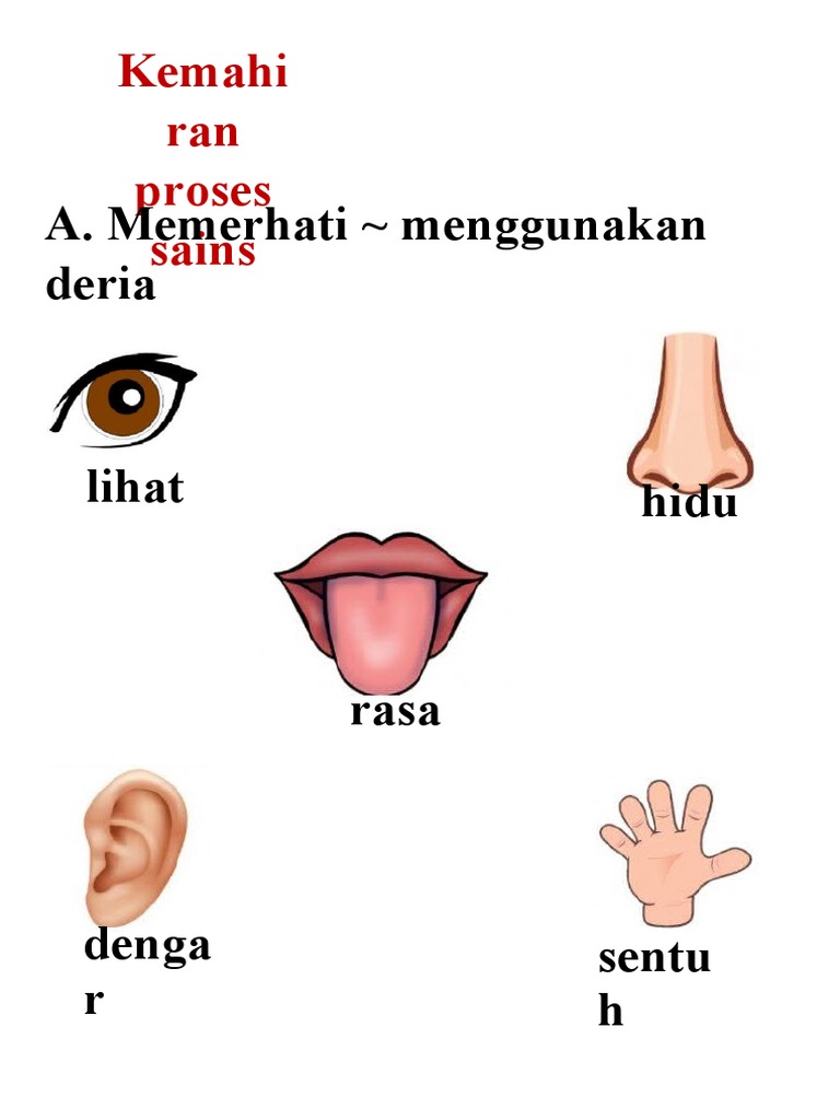 BBM Sains | PDF
