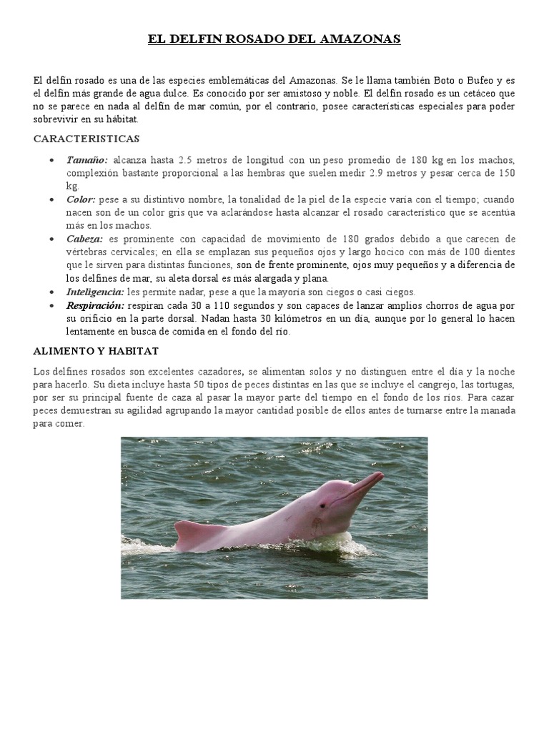 El Delfin Rosado Del Amazonas | PDF
