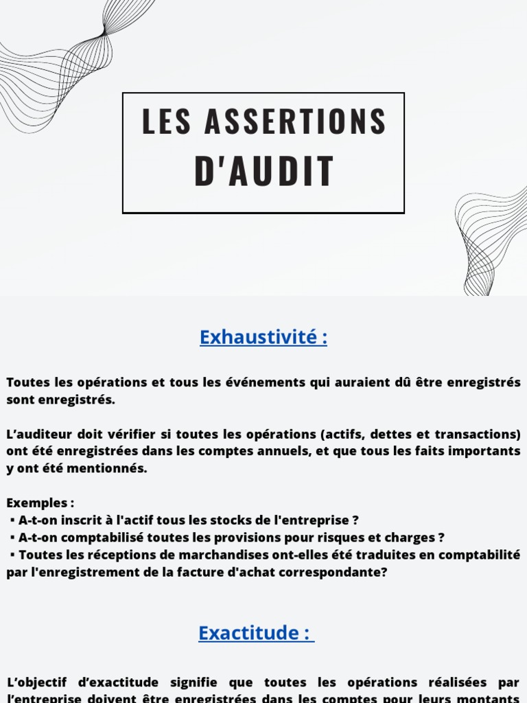 Assertions D'audit | PDF