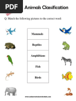 Animal Classification Charts | PDF | Invertebrate | Egg