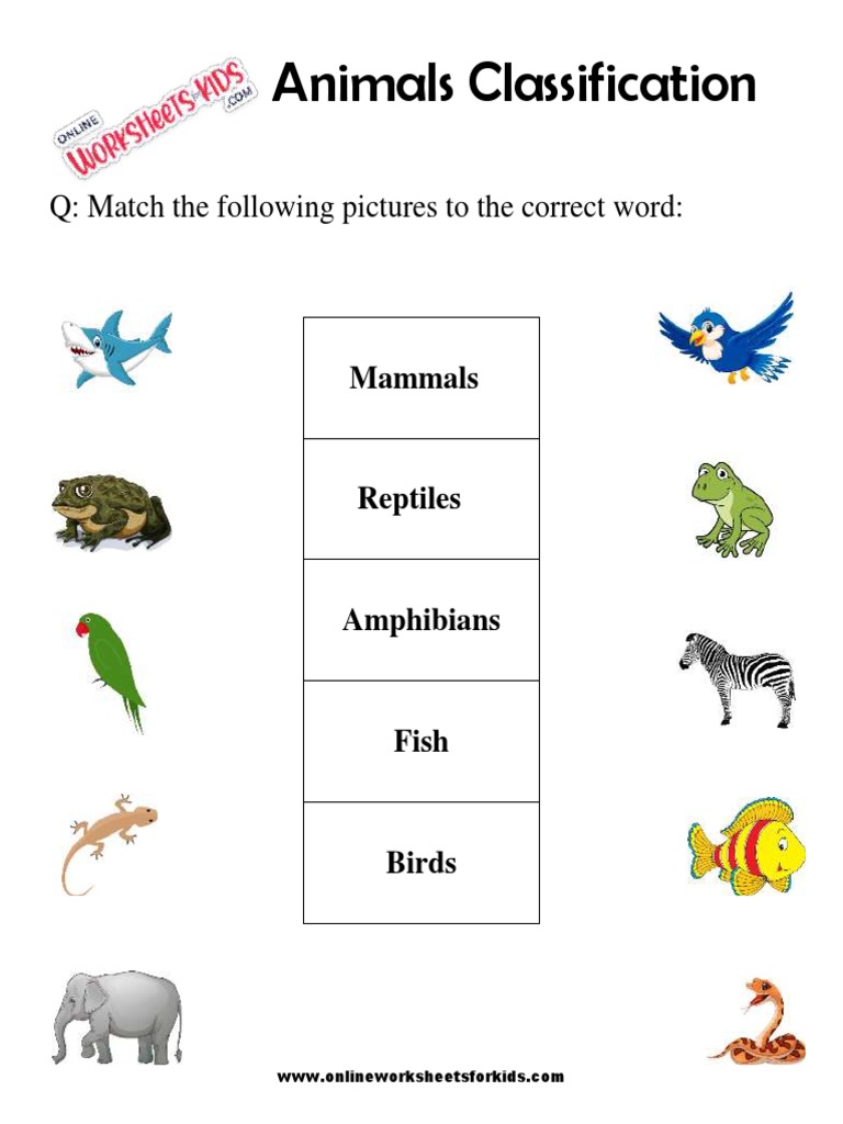 Animals Classification Worksheet For 1st Grade 6 | PDF