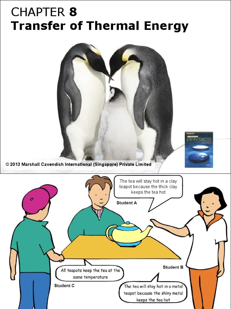 C08 Transfer of Thermal Energy (Teacher) | PDF | Thermal Conduction ...