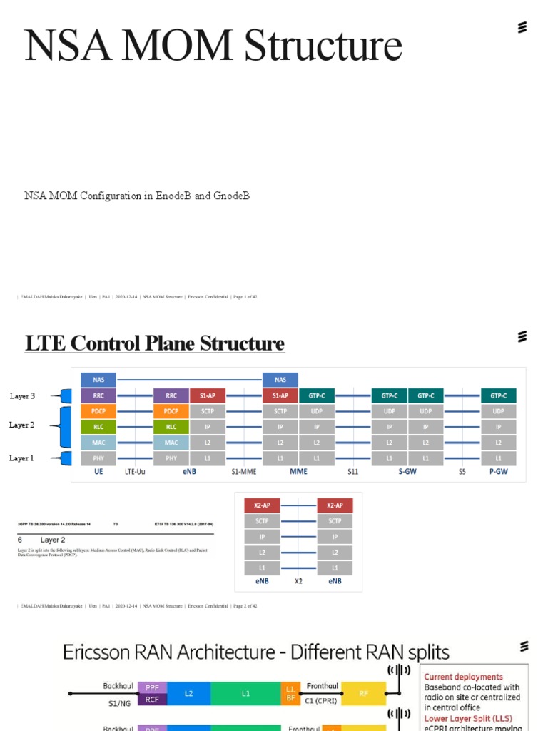 NSA MOM Structure | PDF