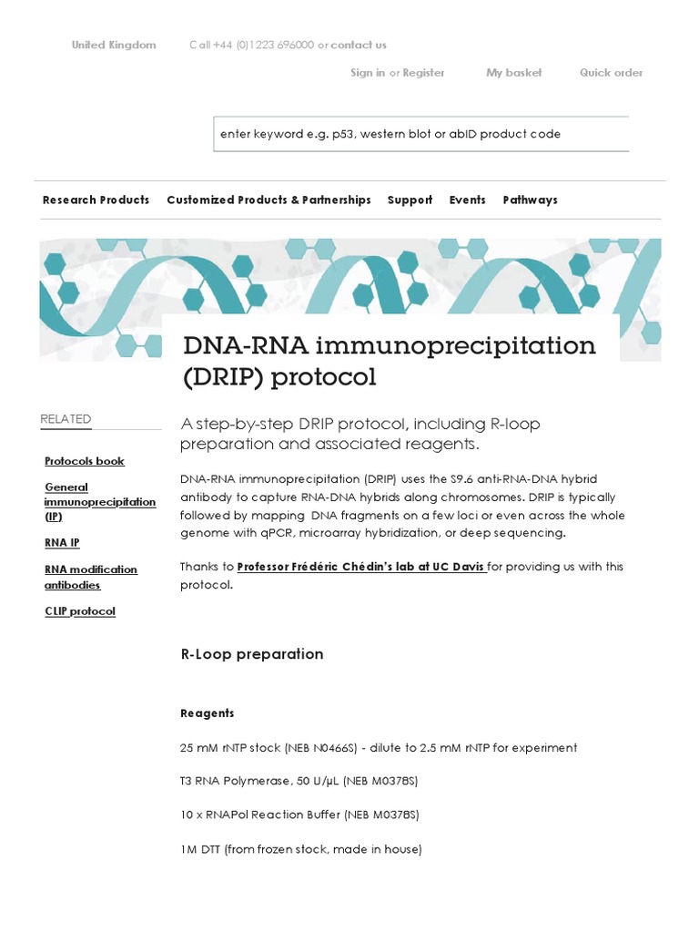 DNA-RNA Immunoprecipitation (DRIP) Protocol - Abcam | PDF