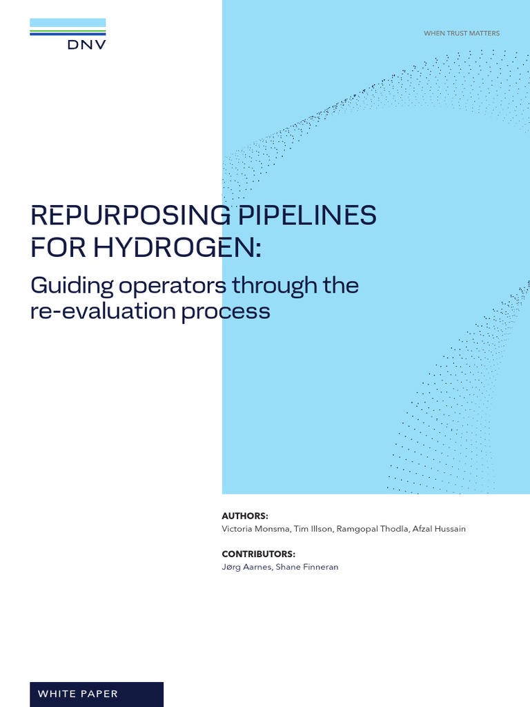 White Paper Repurposing Pipelines Hydrogen | PDF | Technology & Engineering