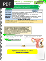 Mapa Conceptual de Tipos de Justicia | PDF | Ciencias sociales