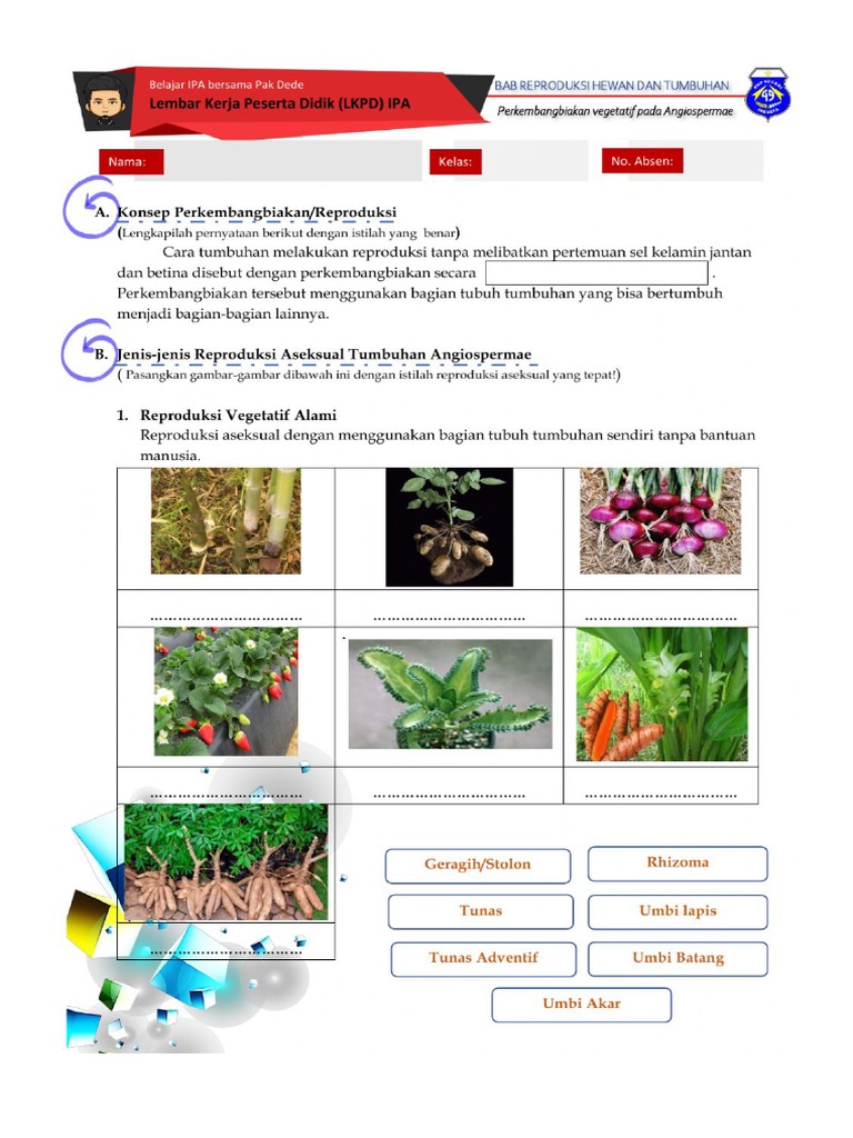 LKPD Membedakan Vegetatif Alami Dan Buatan | PDF