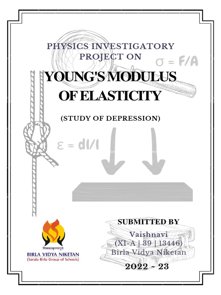 Young's Modulus (Project) | PDF