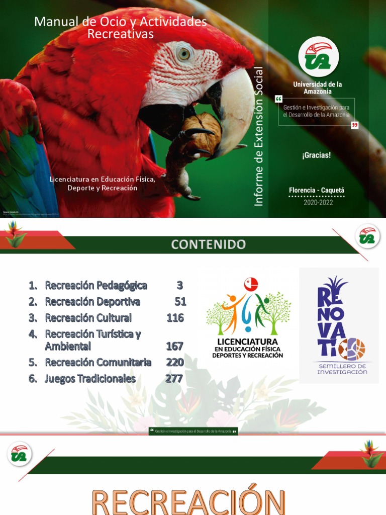 Manual De Ocio Y Actividades Recreativas 2020 2021 Pdf