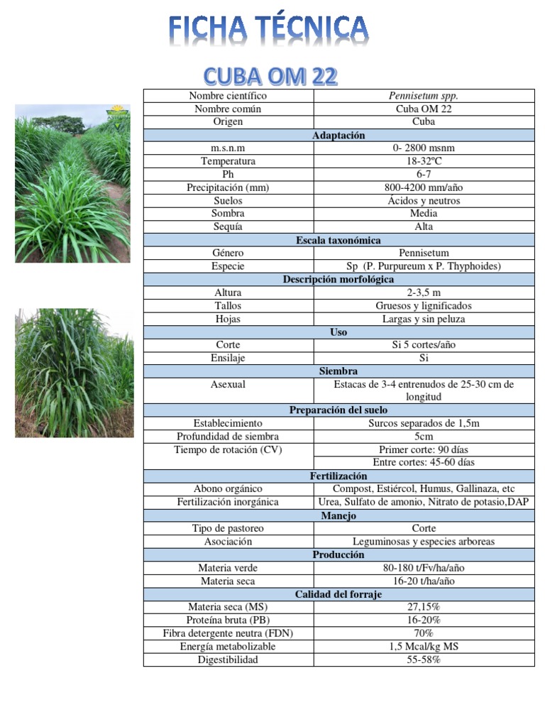 Ficha Técnica Cuba OM 22 | PDF | Fertilizante | Horticultura