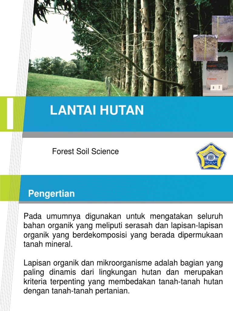 Lantai Hutan | PDF