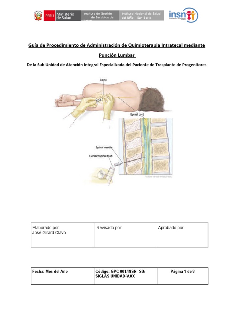 Guía de Procedimientos de Administracion de Quimioterapia Intratecal Con Puncion L | PDF