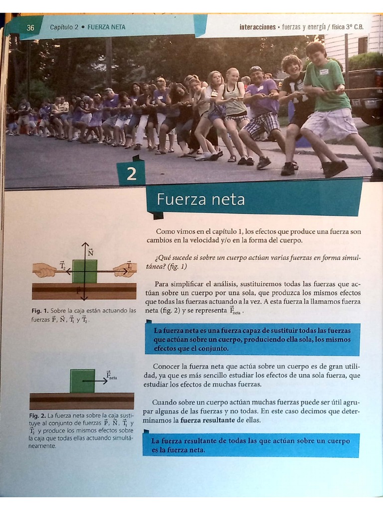 Interacciones, Fuerzas y Energía- CAP 02- Fuerza Neta - 38-51 | PDF