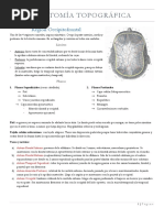1 Region Superciliar | PDF | Cráneo | Anatomía humana