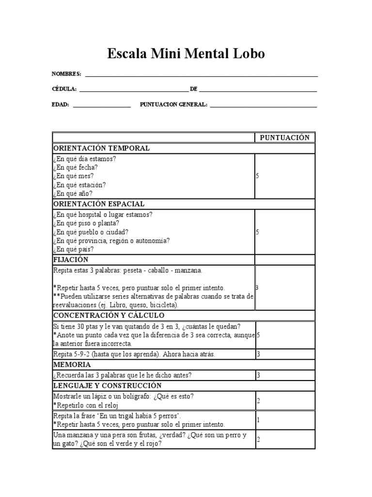 Escala Mini Mental Lobo para deteccion de demencias | PDF