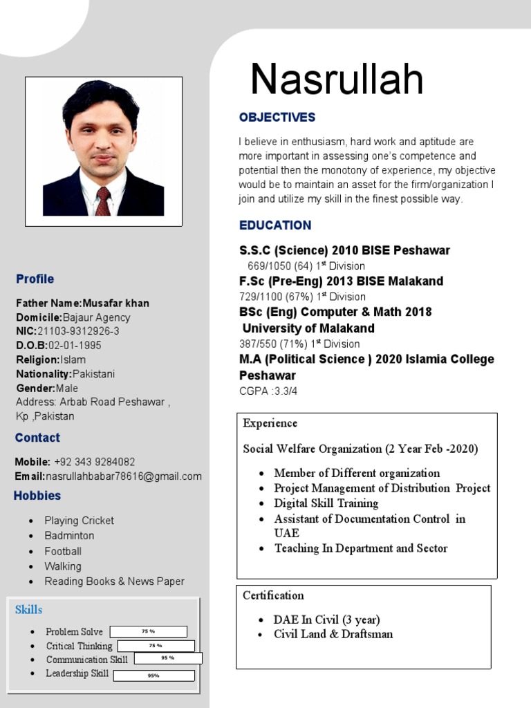 Sajjad CV | PDF