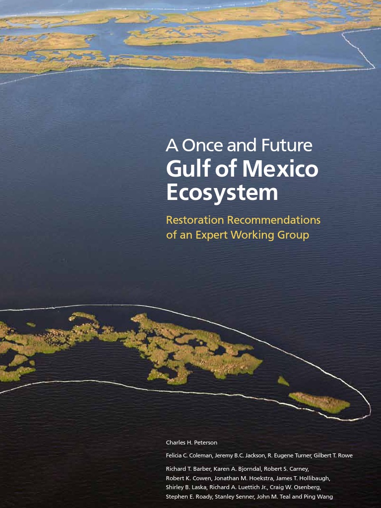 A Once and Future Gulf of Mexico Ecosystem | PDF | Restoration Ecology ...