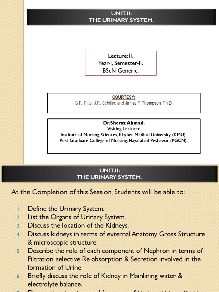 KMU-PGCN The Urinary System Shorter Colored 1 | PDF | Kidney | Urination
