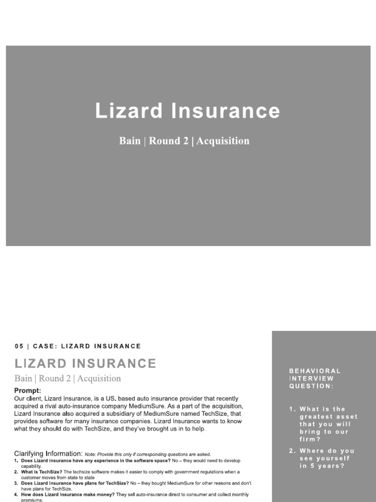 Lizard Insurance | PDF
