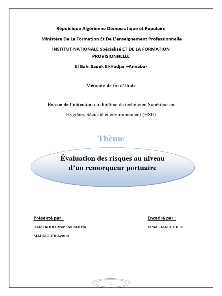 Mémoire Final PDF | PDF