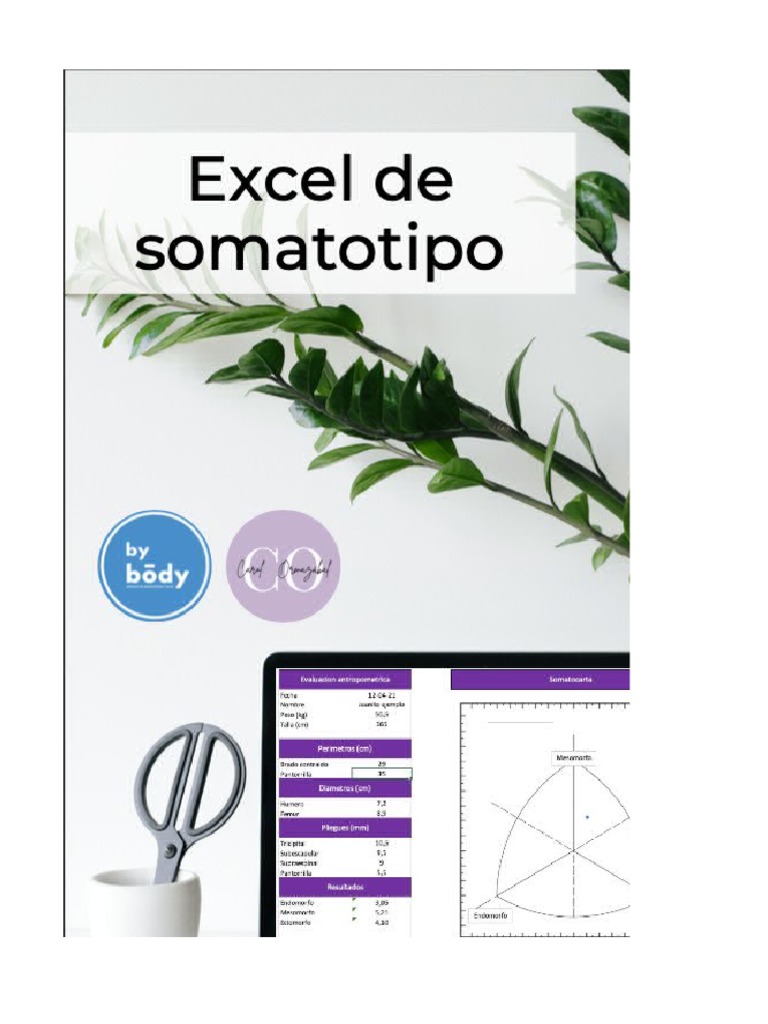 Somatocarta Plantilla | PDF