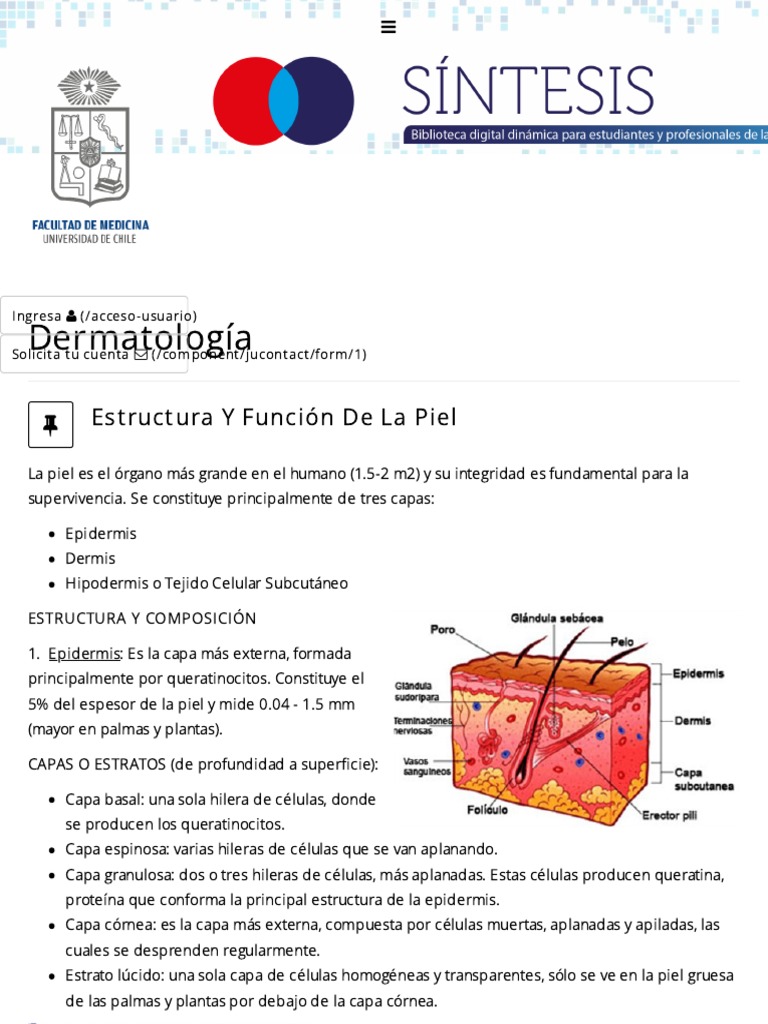 sintesis.med.uchile.cl - Estructura y Función de la Piel | PDF