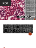 Marcas Oseas | PDF | Sistema musculoesquelético | Sistema esquelético