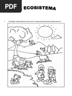Los Ecosistemas para Colorear | PDF