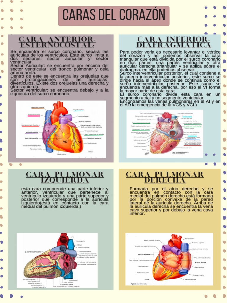 Corazón | PDF
