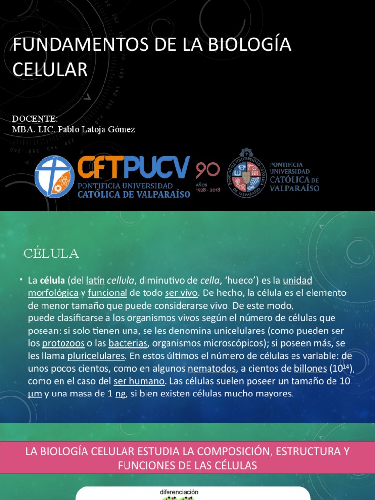 Clase 1 - Fundamentos de La Biología Celular | PDF Clase 1 - Fundamentos de La Biología Celular | PDF
