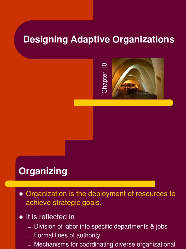 Ch10-Designing Adapti C31B8 | PDF | Division Of Labour | Hierarchy