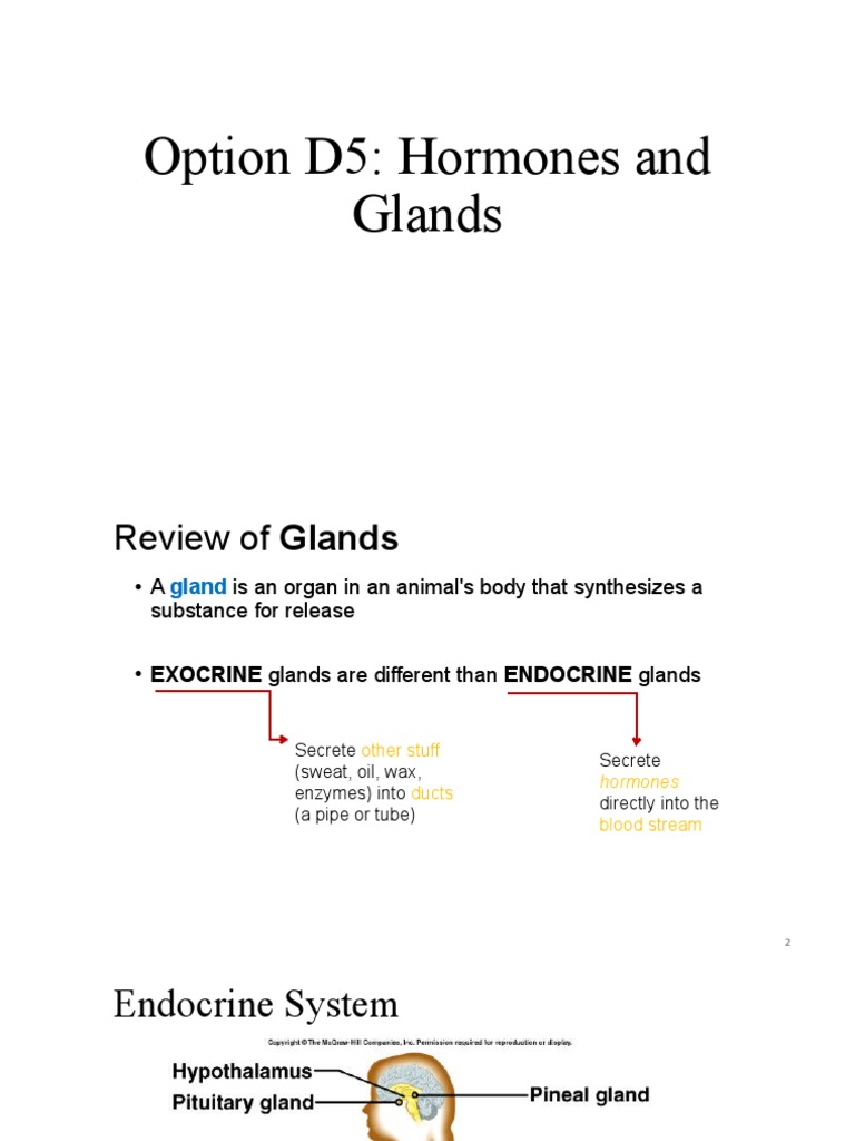 D5 Hormones and Glands | PDF