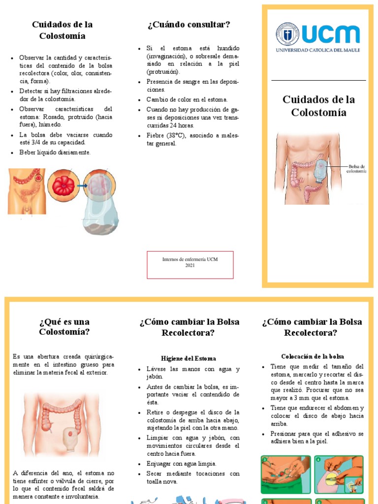 7.2, Cuidados Colostomía (Triptico) | PDF | Heces | Sistema digestivo