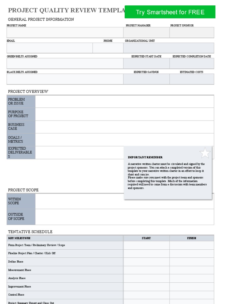 Project Quality Review Guide | PDF | Business