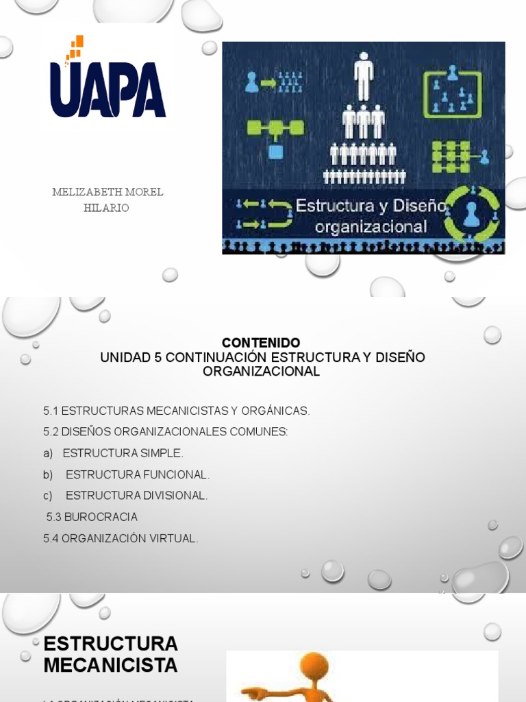 Presentacion 5 | PDF