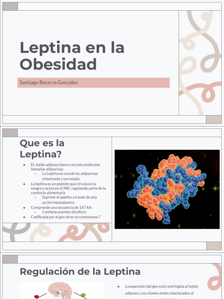 Leptina en La Obesidad | PDF | Relaciones personales, crianza y ...