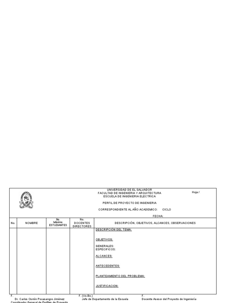 Formato Perfil Pye Actualizado | PDF
