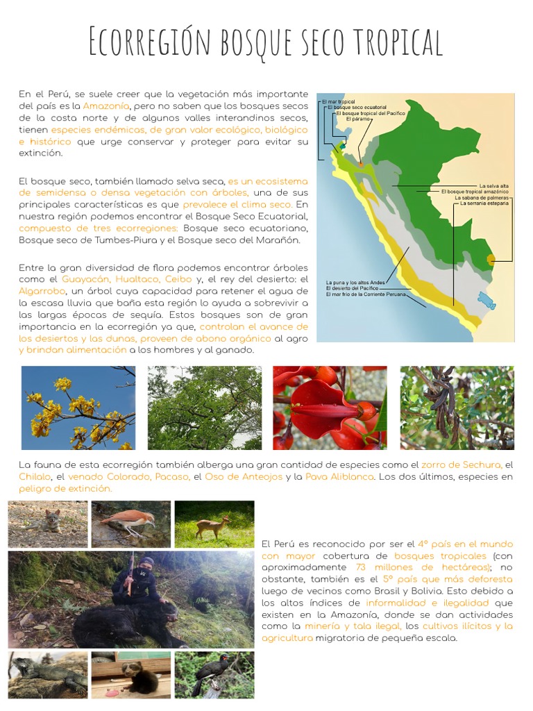 Ecorregión Bosque Seco Tropical | PDF