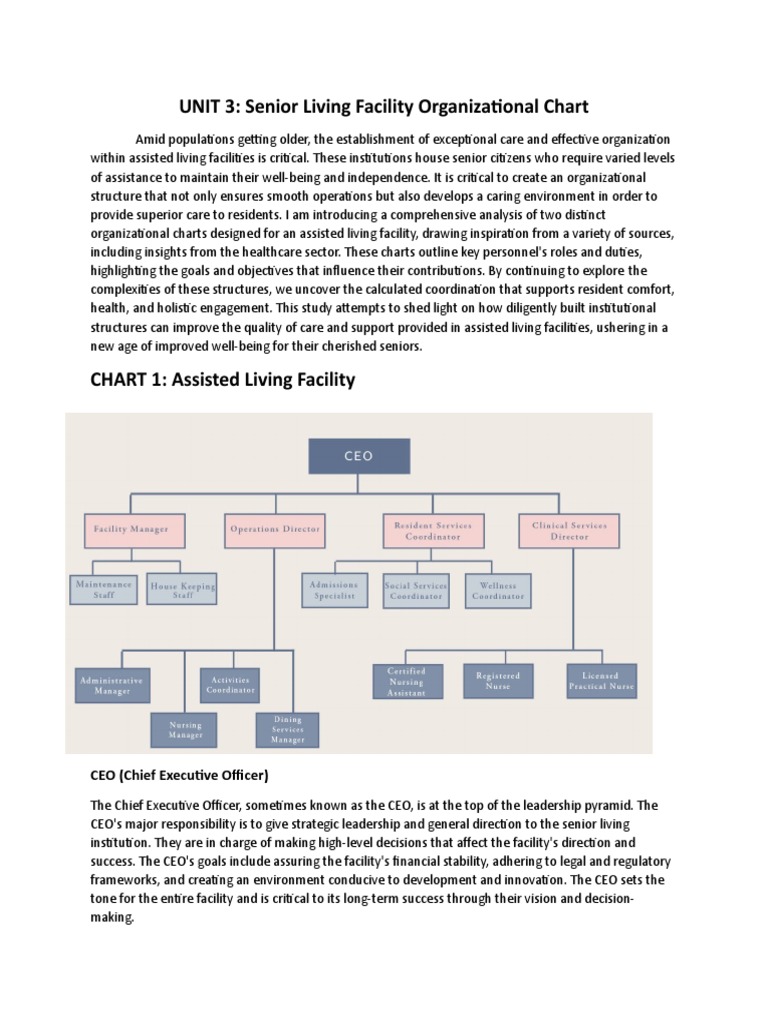UNIT 3 - IP Organizational Chart | PDF | Nursing | Health Care