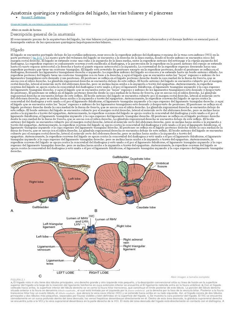 Blumgart Anatomia Higado Pancreaa y Via Biliar | PDF