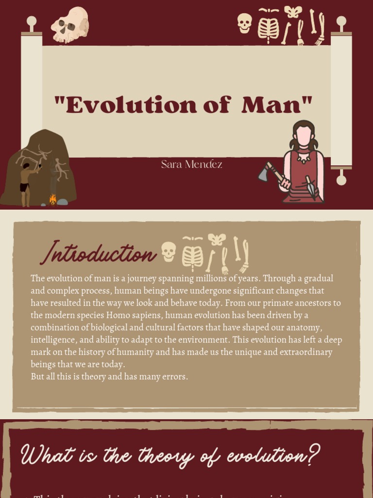Evolution of Man | PDF | Human Evolution | Human