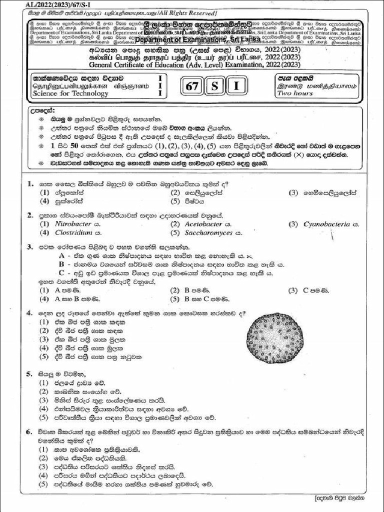 2022 AL SFT Past Paper Sinhala Medium | PDF