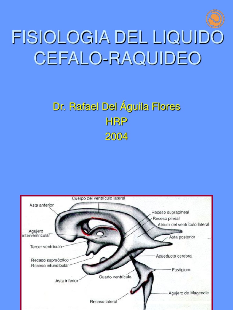 LCR - Hidrocefalia - F | PDF | Fluido cerebroespinal | Axon