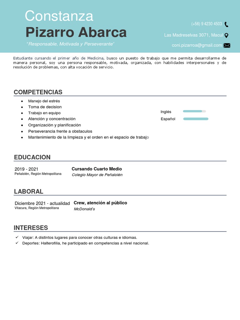 CV Constanza Pizarro A. | PDF