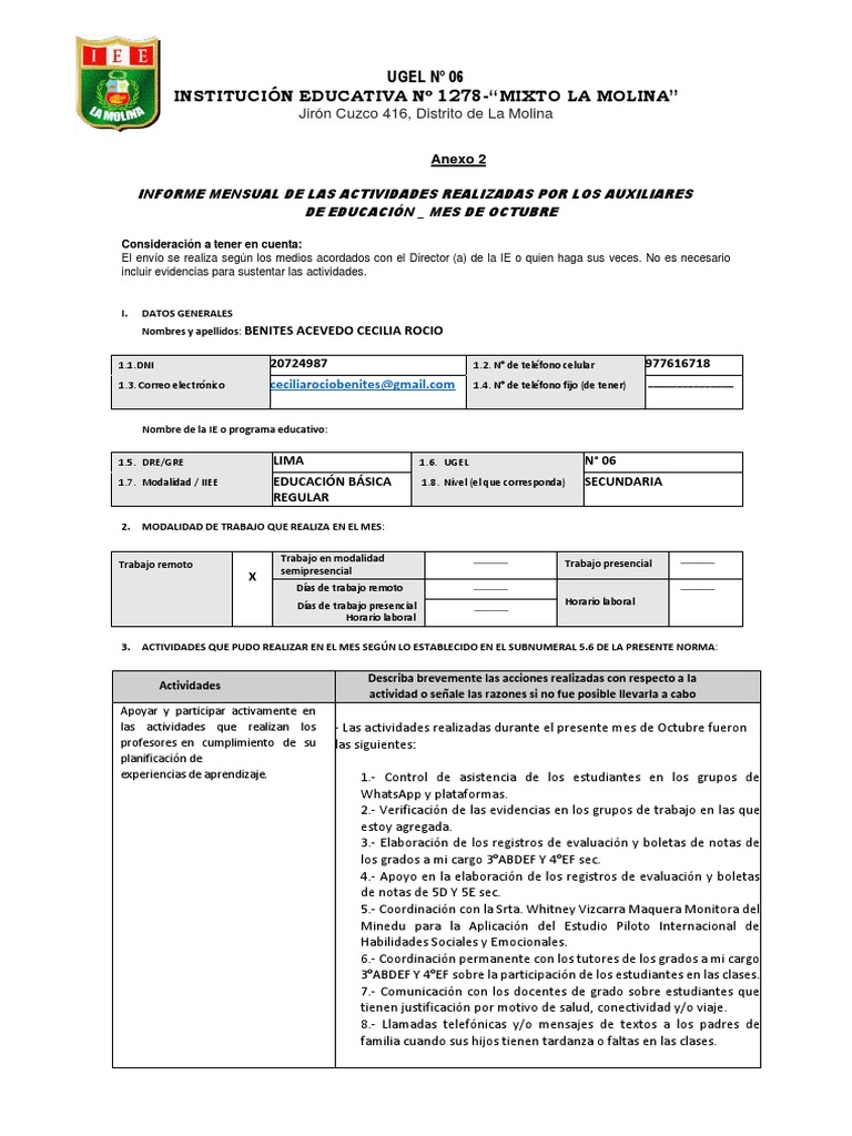 Modelo de Informe Mensual | PDF