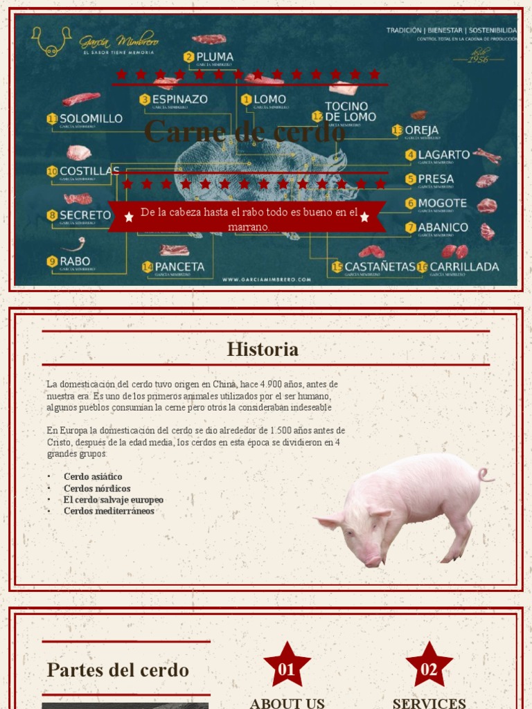 Carne de Cerdo | PDF