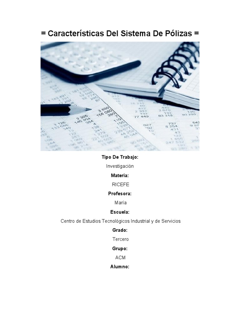 Características Del Sistema De Pólizas | PDF